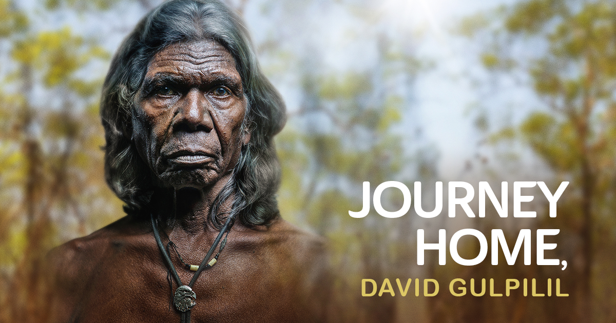 Journey Home, David Gulpilil - In Cinemas Now